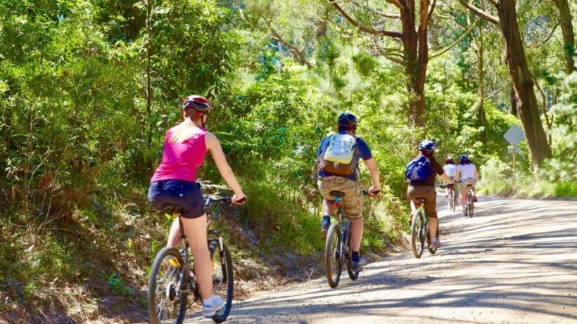 Mornington Peninsula: Self Guided Food & Wine Cycle Tour - Exploring the Region Beyond the Tour