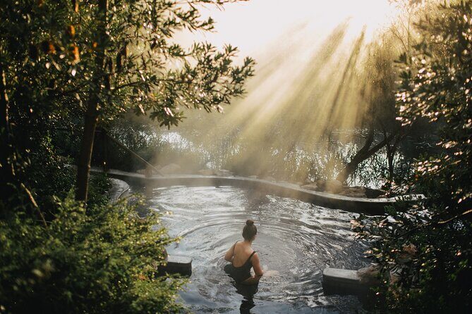 Mornington Peninsula Small Group Hot Springs, Lunch & Winery Tour - Key Points