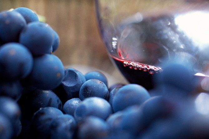 Mornington Peninsula Small Group Rare Hare or Merricks Wine Store - Exploring the Mornington Peninsula: A Closer Look