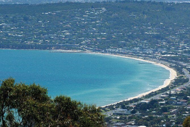 Mornington Peninsula Small Group Rare Hare or Merricks Wine Store - Is This Tour Right for You?