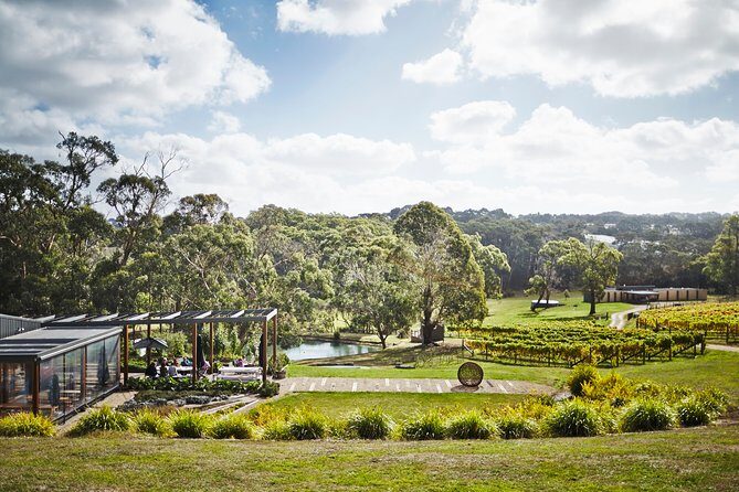 Mornington Peninsula Small Group Rare Hare or Merricks Wine Store - Final Thoughts