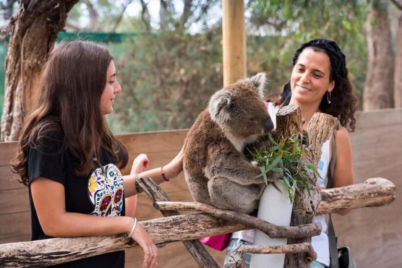 Mornington Peninsula Tour: wildlife, wine, art & hot springs - Key Points