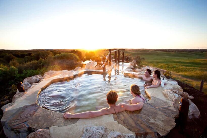 Mornington Peninsula Tour: wildlife, wine, art & hot springs - An In-Depth Look at the Tour