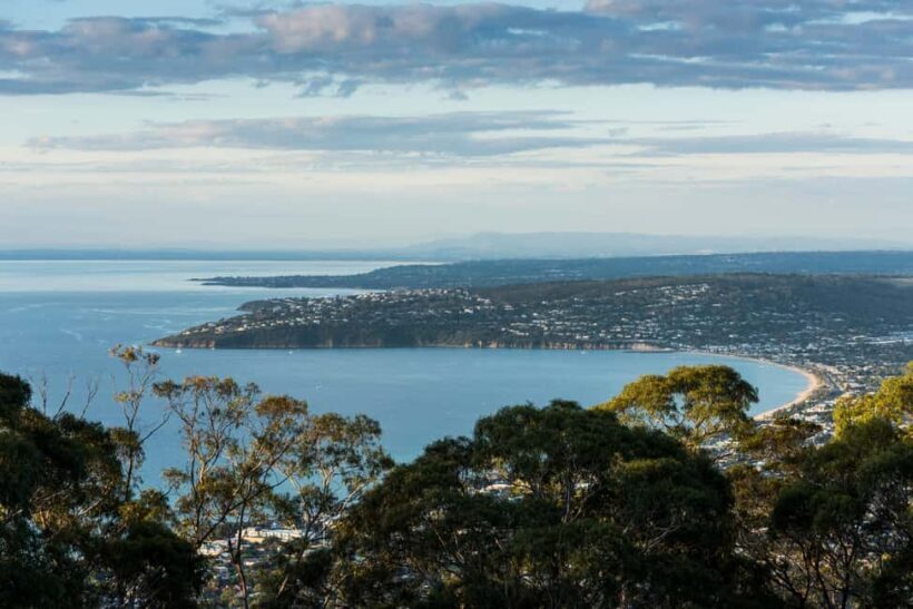 Mornington Peninsula Tour: wildlife, wine, art & hot springs - Who Will Love This Tour?