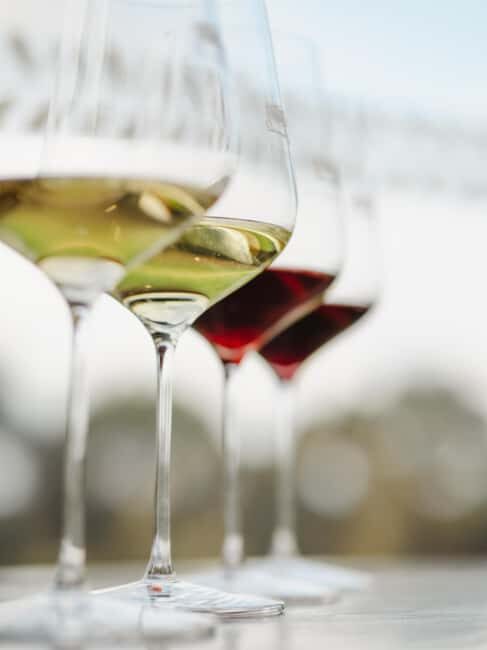 Mornington Peninsula: Wine and Cheese Discovery - Who Will Enjoy This Tour?