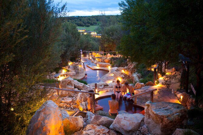 Mornington Peninsula Wine Tasting and Twilight Bathing Tour - Key Points