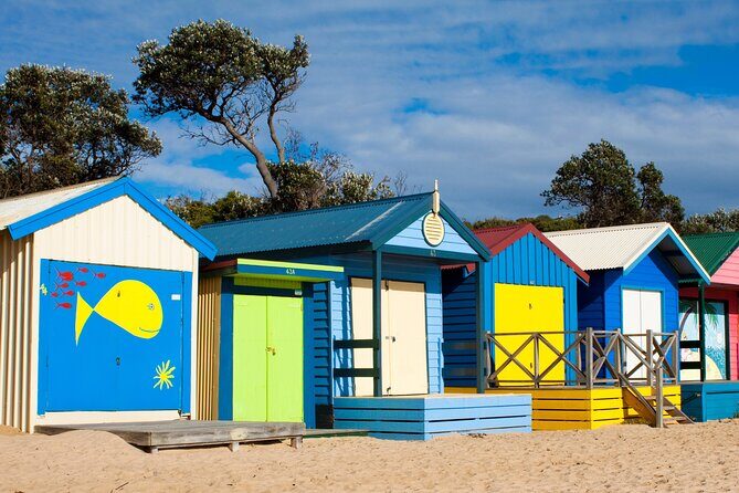 Mornington Peninsula Winery Bus Tour including lunch with a glass of wine - Who Should Consider This Tour?