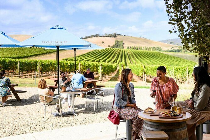 Mornington Peninsula Winery Bus Tour including lunch with a glass of wine - The Sum Up: Is It Worth It?