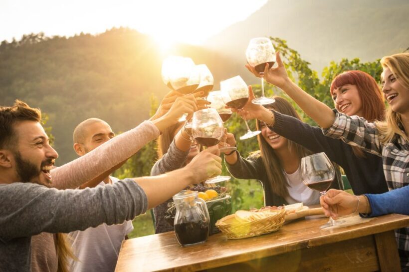 Mornington Peninsula Winery Bus Tour with Lunch & Wine - An Overview of the Tour Experience