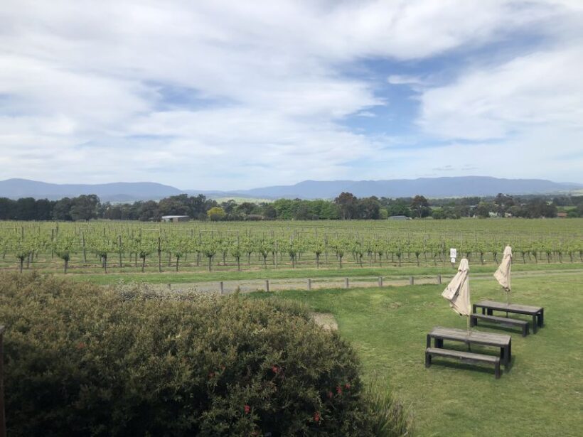 Mornington Peninsula Winery Bus Tour with Lunch & Wine - The Sum Up