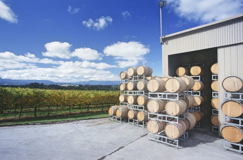 Mornington Peninsula Winery Bus Tour with Lunch & Wine - FAQ