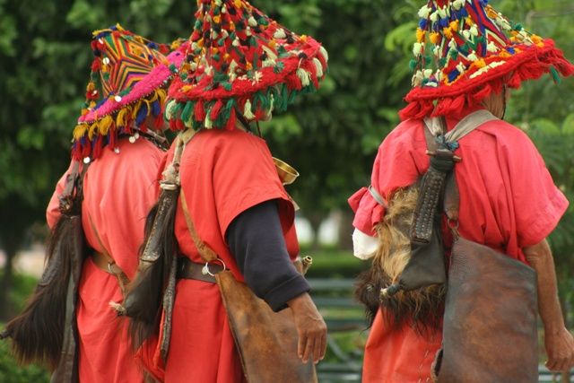 Morocco 4-Day Tour from the Costa del Sol - Who Should Consider This Tour?