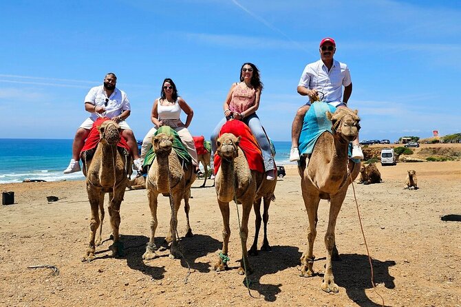 Morocco: Tangier Private Tour From Malaga & Tarifa. All Inclusive - Inclusions: What to Expect