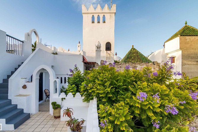 Morocco: Tangier Private Tour From Malaga & Tarifa. All Inclusive - Customer Experiences and Feedback