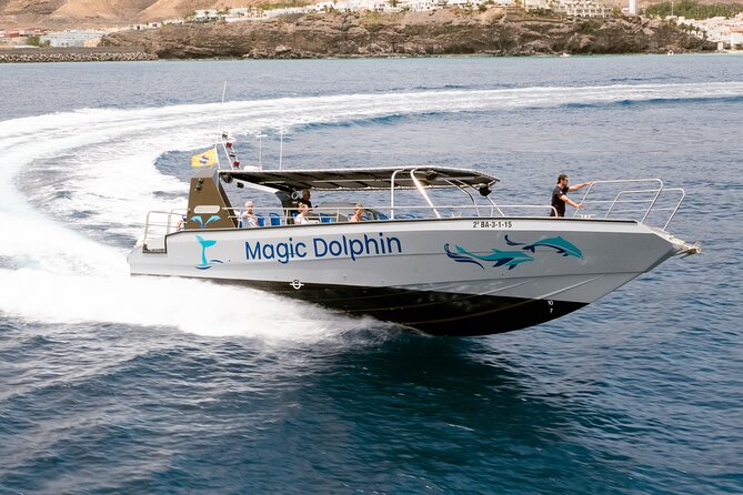 Morro Jable: 2 Hours Magic Dolphin & Whale Watching With Drinks & Swim Stop. - Booking and Transportation Options