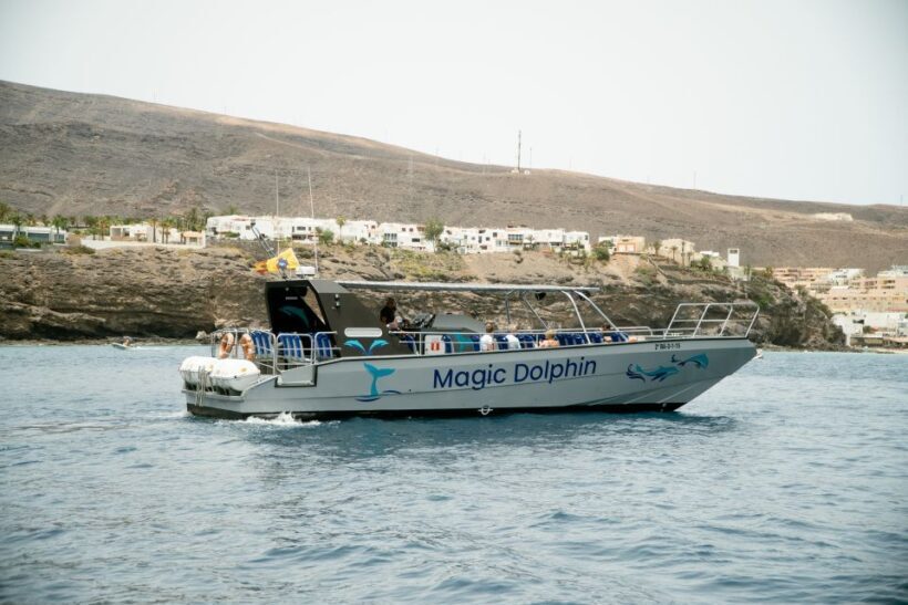 Morro Jable: Dolphin & Whale Watching Cruise, Drinks & Swim - The Swimming Stop: A Refreshing Break