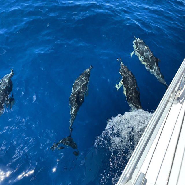 Morro Jable: Sailing Boat Excursion with Food and Drinks - Practical Details that Matter