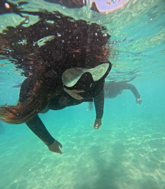 Morro Jable: Snorkeling Adventure - Why This Tour Offers Great Value