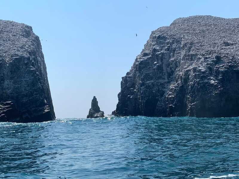 Morros de Potosi: Dive into the Mysteries of the Night - Why Night Diving Is Special
