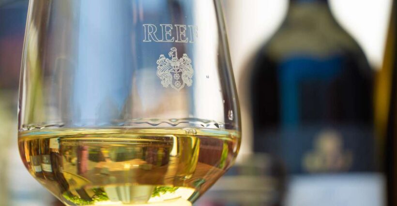 Mosel: Accompanied wine tasting directly at the winery - Key Points