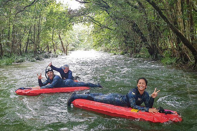 Mossman Gorge Adventure Day - Setting the Scene: What to Expect from the Tour
