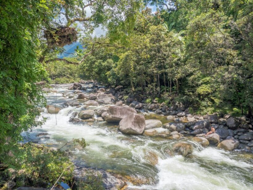 Mossman Gorge: Day Tour with River Drift Experience - The Value Proposition