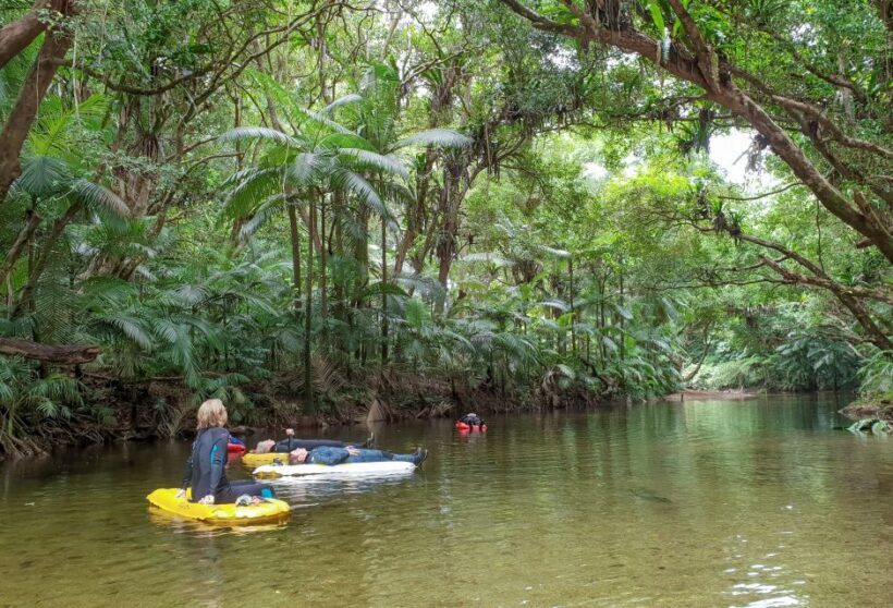 Mossman Gorge: Day Tour with River Drift Experience - The Sum Up