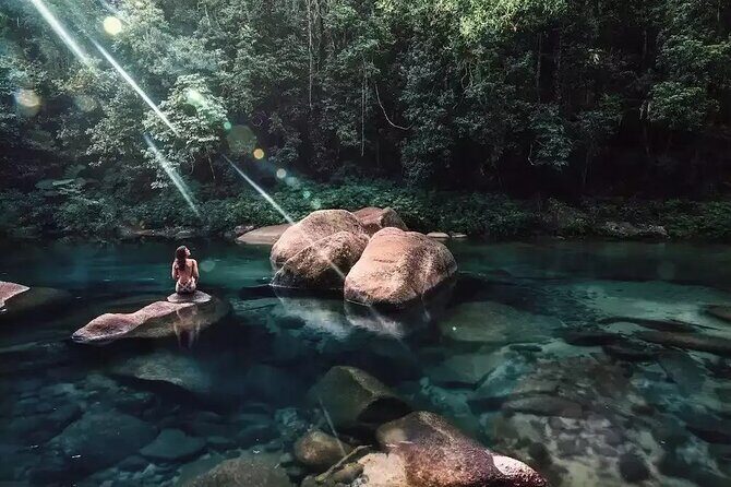 MOSSMAN GORGE TRANSFER between Port Douglas and Mossman Gorge (return) - A Practical Guide to the Mossman Gorge Transfer