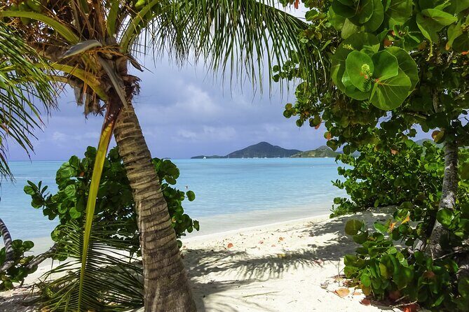 Most Beautiful Beaches of Antigua: Valley-Jolly or Fort-Dickenson - A Closer Look at the Tour Experience