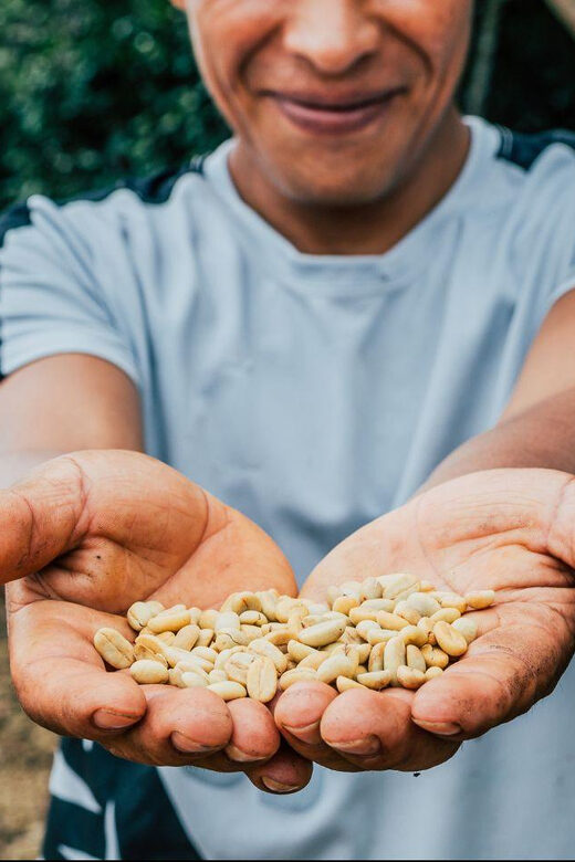 Most complete COFFEE TOUR at local family farm - What Makes This Coffee Tour Stand Out