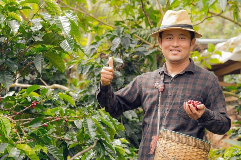 Most complete COFFEE TOUR at local family farm - Who Will Love This Tour?