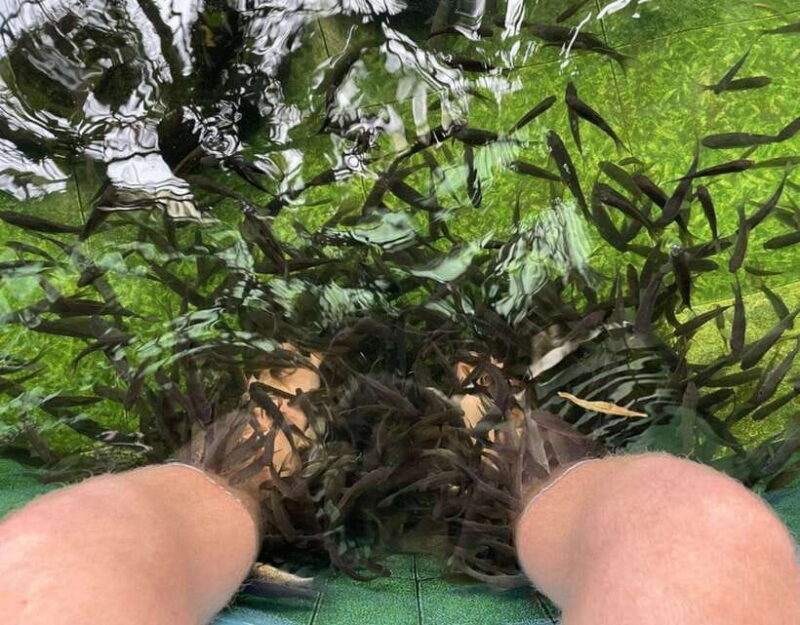 Most Luxurious Day Trip to Lan Ha Bay with Lunch from Hanoi - In-Depth Review of the Tour Experience