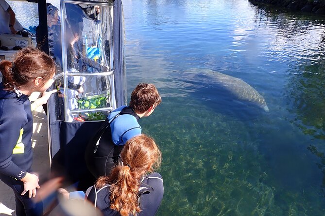 Most Popular 3hr Manatee Swim Tour + In-Water Guide! - FAQ