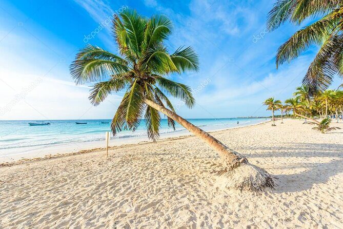 Mother Nature, Tulum and beach paradise with lunch - Who Should Consider This Tour?