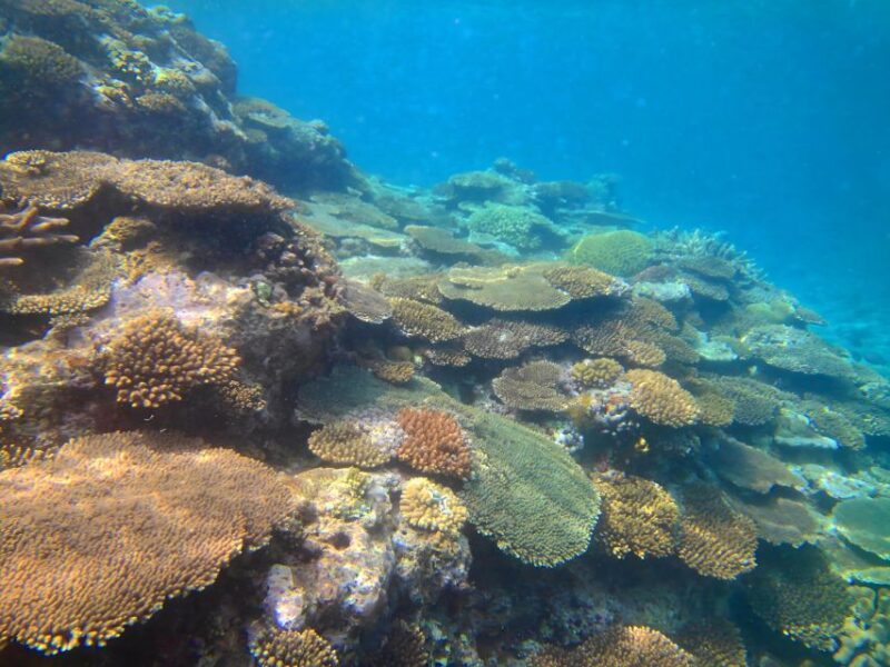 Motobu: Kayak and Snorkel Private Booking - Itinerary Details