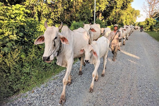 MotoGirl - Day Adventure Tour - What the Tour Feels Like for Travelers