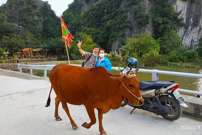 Motorbike Rental Ninh Binh - Final Thoughts: Is This Rental Right for You?
