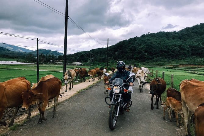 Motorbike tour from Dalat to Muine 2 days trip - The Itinerary Breakdown: What You’ll Really Experience