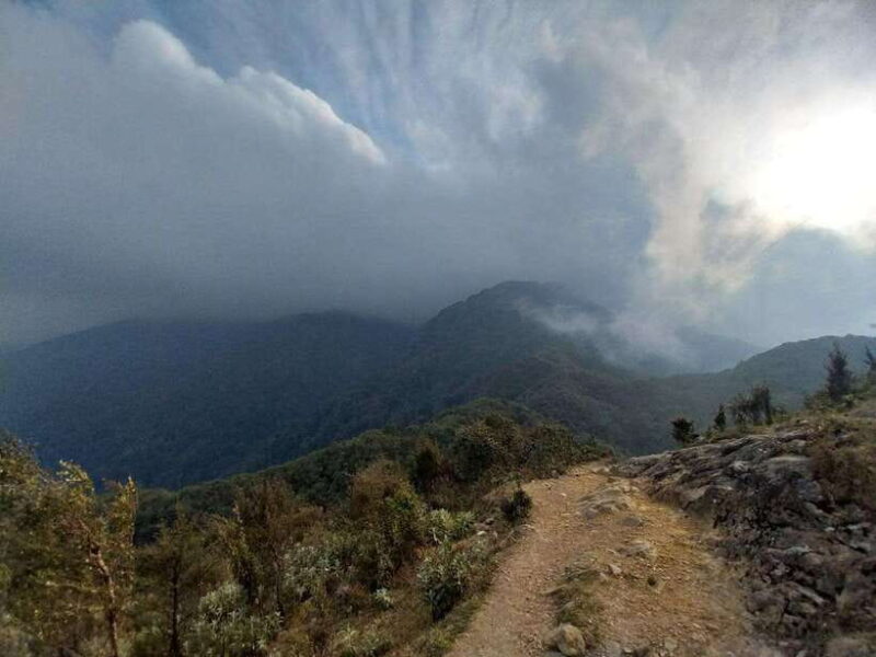 Motorbike Tour: Waterfall, Lonely Tree, and Green Tea Hill - FAQ