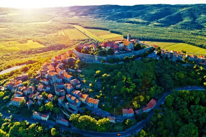 Motovun: The trail of Giants hiking tour & Fritule Tasting - Who Will Love This Tour?