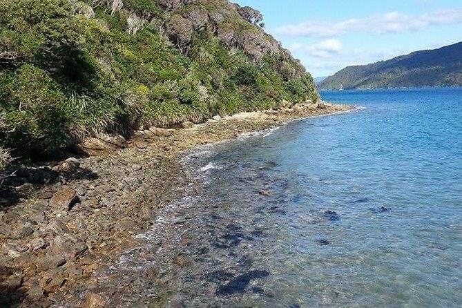 Motuara Island Bird Sanctuary and Ship Cove Cruise from Picton - What Travelers Are Saying