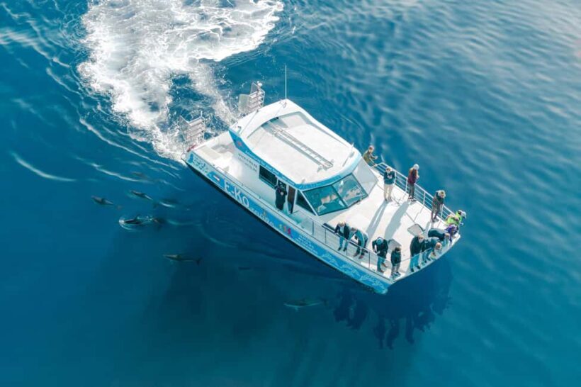 Motuara Island Sanctuary: Wildlife & Dolphin Watching Tour - FAQs