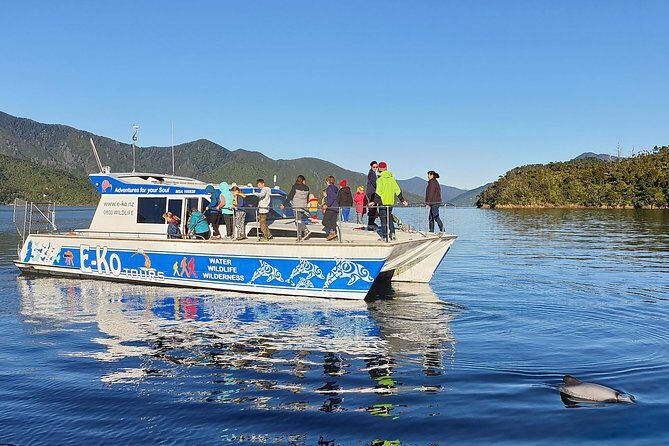 Motuara Wildlife Sanctuary Tour and Dolphin Cruise from Picton - What the Reviews Tell Us