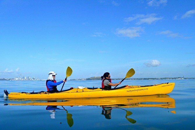 Motukorea / Browns Island Sea Kayak Journey - Value for Money
