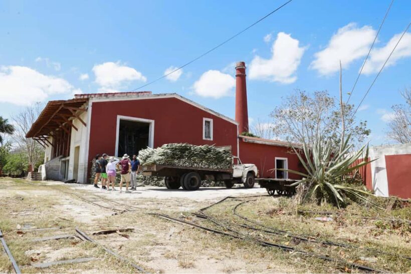 Motul, Hacienda, Xcambo, Pink Salt Mine & Progreso Day Trip - Who Will Love This Tour?