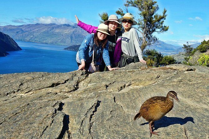 Mou Waho Island Cruise and Guided Nature Walk - A Closer Look at the Mou Waho Island Tour