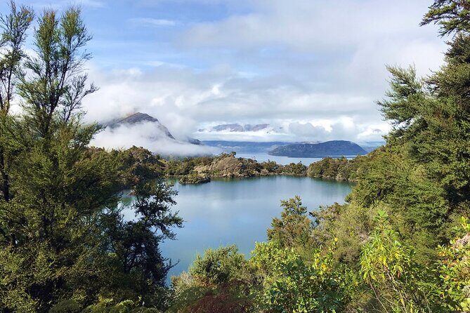Mou Waho Island Cruise & Self-Guided Nature Walk - A Complete Breakdown of the Experience