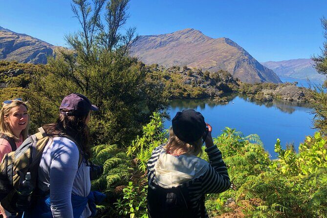 Mou Waho Island Cruise & Self-Guided Nature Walk - The Sum Up