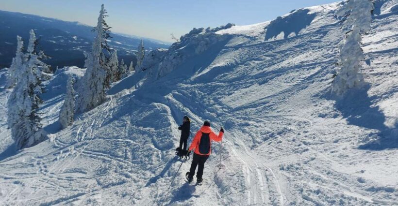 Mount Arber: Snowshoeing in the Bavarian Forest Guided Tour - An In-Depth Look at the Tour Experience