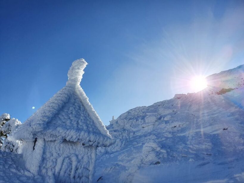 Mount Arber: Snowshoeing in the Bavarian Forest Guided Tour - The Sum Up: Who Is This Tour Best For?